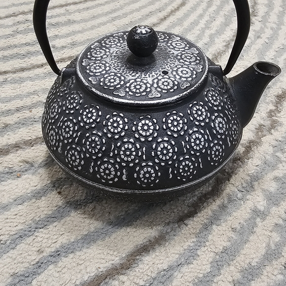 bn | Kitchen | Fe Cast Iron Teapot Japanese Cast Iron Tea Kettle Blue ...